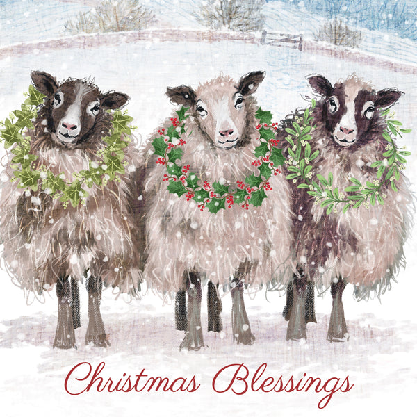 Christmas Card - Christmas sheep (pack of 10) – BRFonline